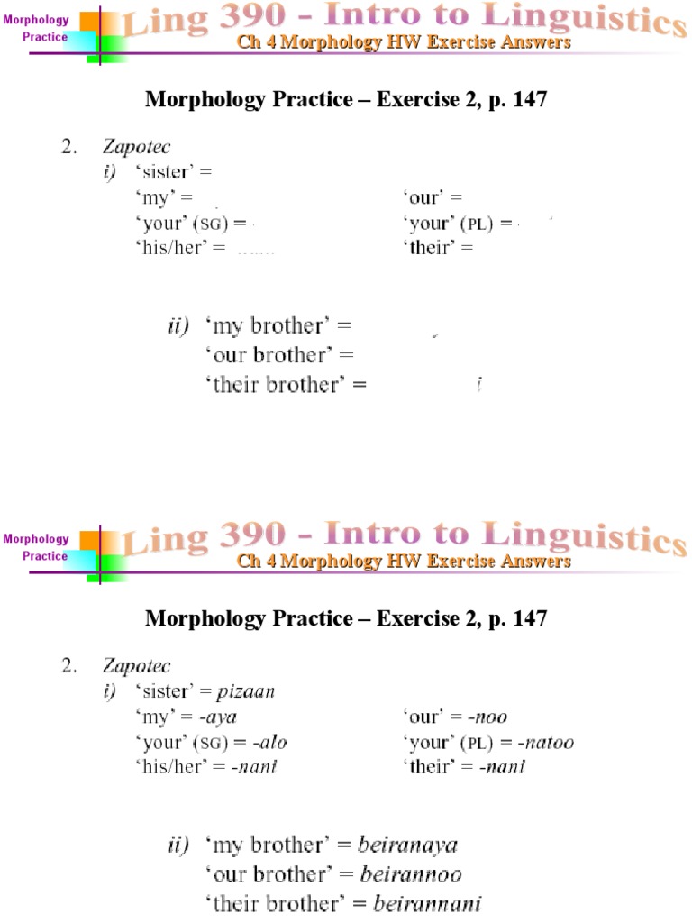 Ling 390 Morphology HW Exercises | PDF | Morphology (Linguistics) | Grammar