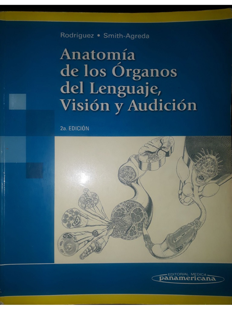 Anatomía y Fisiología de La Audición | PDF