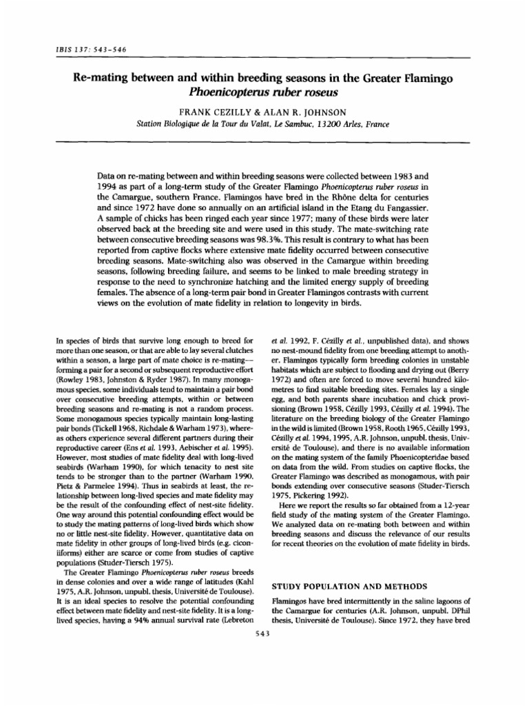 Re-mating patterns in Greater Flamingos | PDF