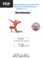 Chiasma Optique | PDF | Anatomie humaine | Système nerveux