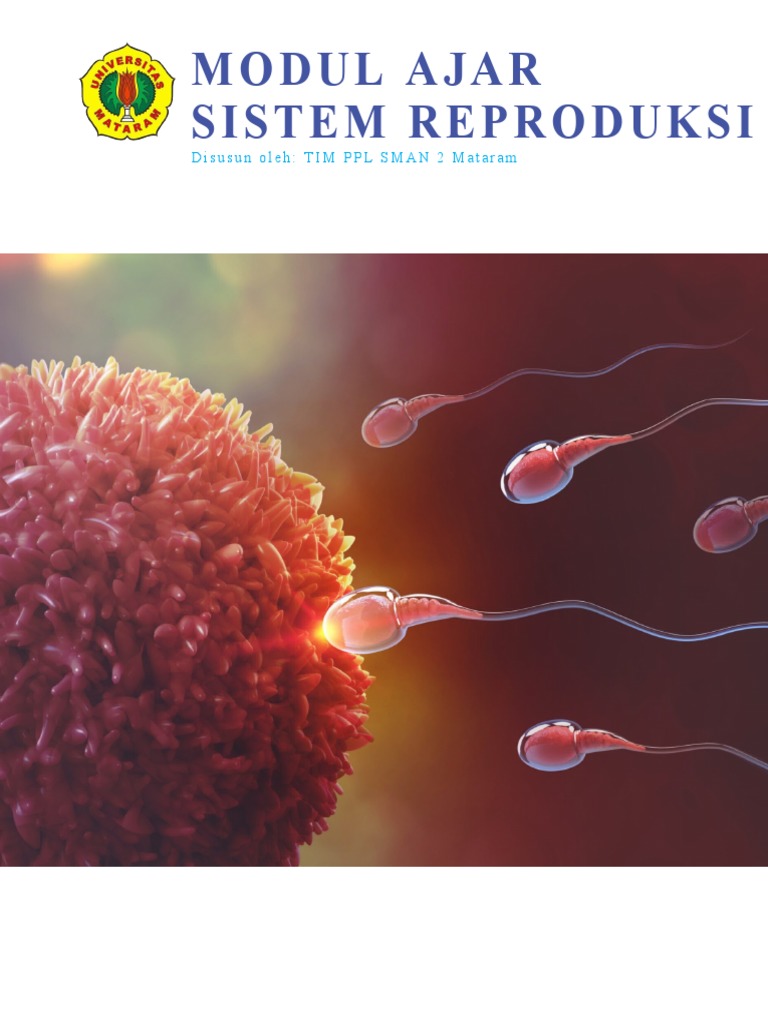 Modul Ajar Biologi: Sistem Reproduksi | PDF