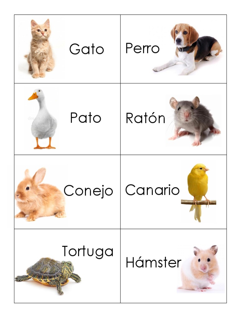 Vocabulario Animales | PDF