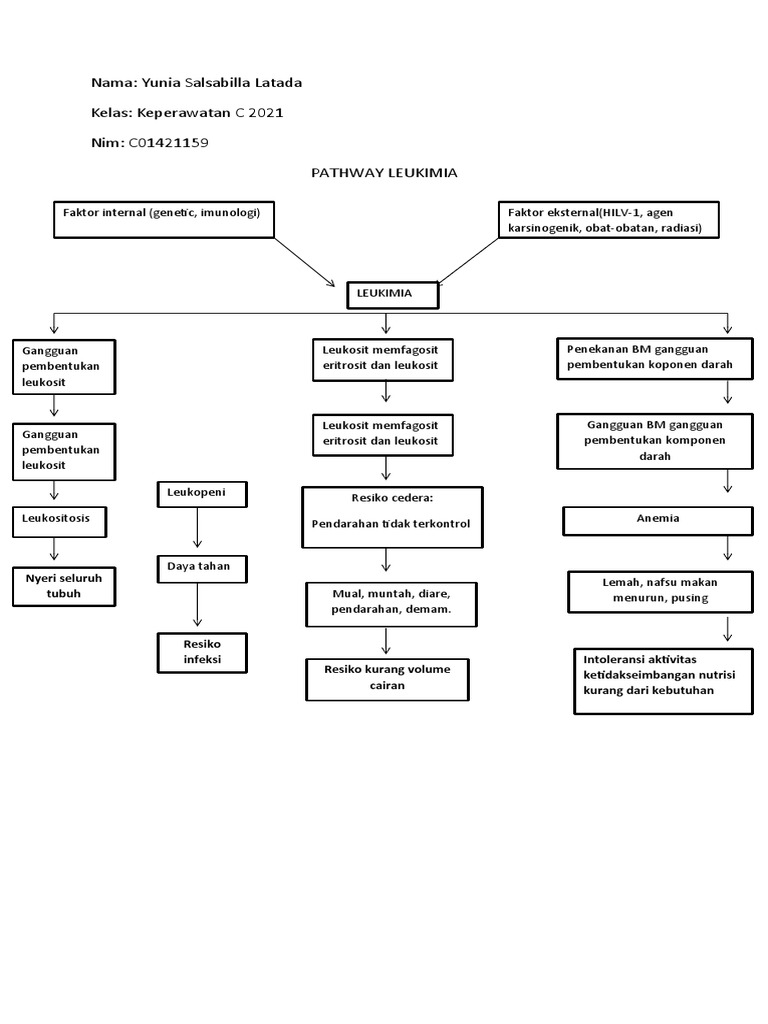 Pathway Leukimia | PDF