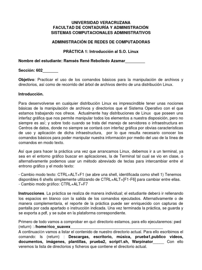 Comandos Básicos de Linux en Práctica | PDF | Archivo de computadora ...