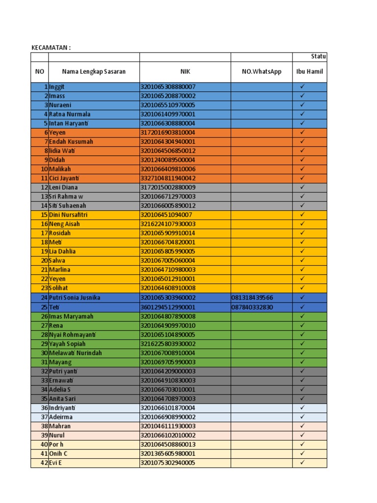 Data Bumil Dan Nifas Baru | PDF