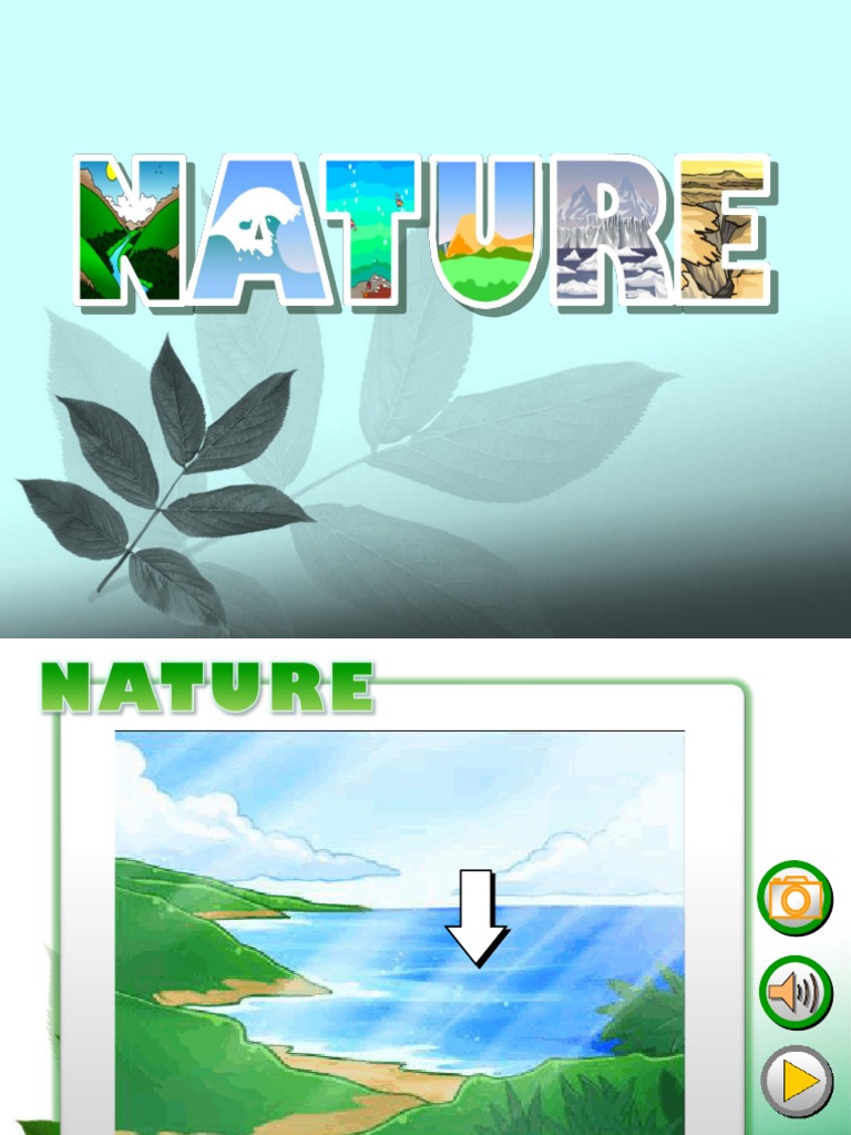 Nature Pictionary | PDF