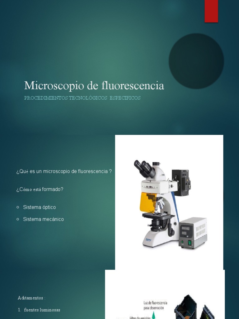 Microscopio de Fluorescencia | PDF