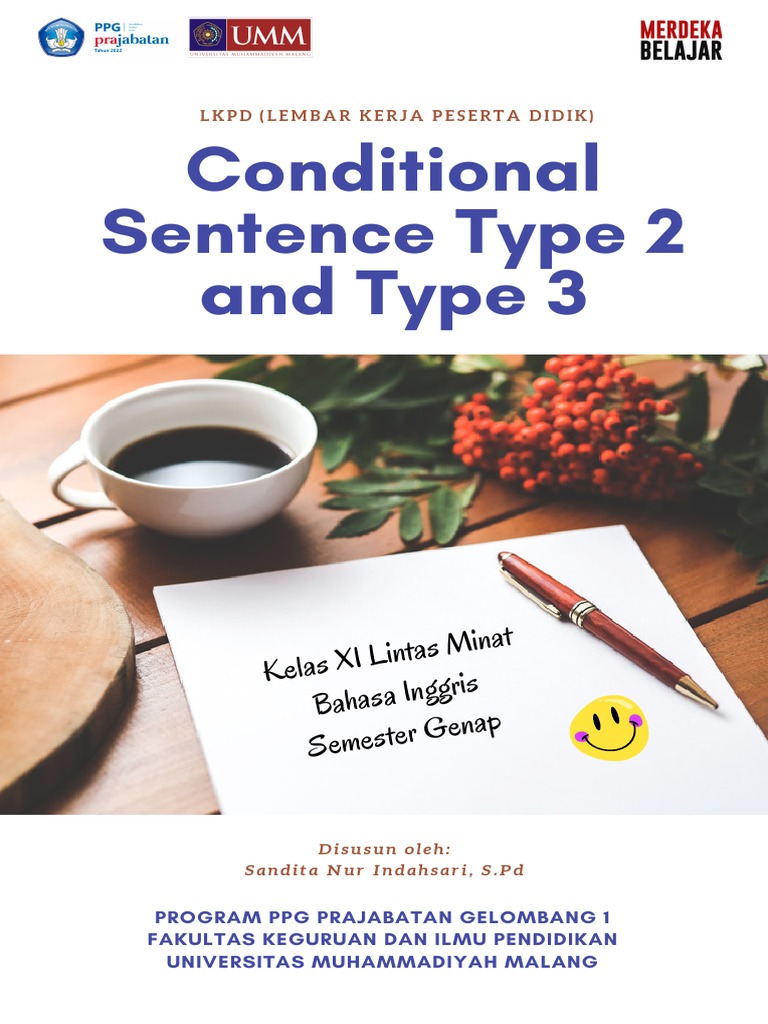 CONDITIONAL SENTENCES TYPE 2 AND 3 | PDF