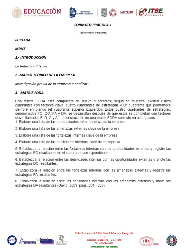 Informe Práctica 1 - v2.0 | PDF | Análisis FODA