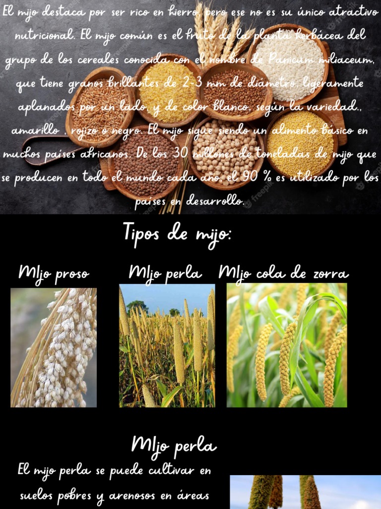 Algoritmo para Plantar Mijo | PDF