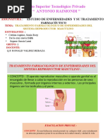 Inserto Esfinto Plus | PDF | Medicina CLINICA | Especialidades Medicas