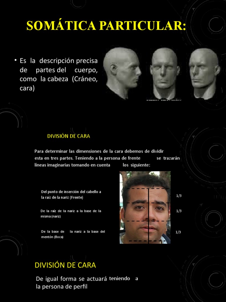 Somática Particular Media Filiacion | PDF | Color | Ojo