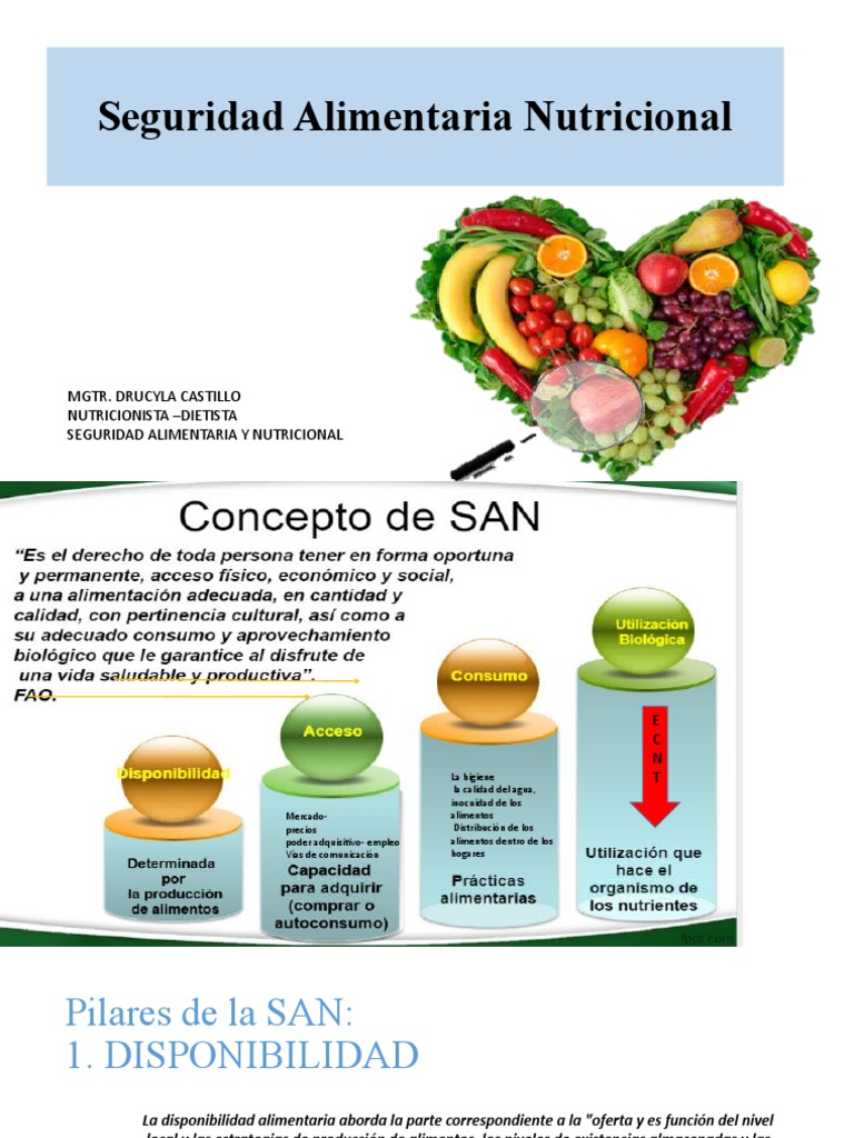 Seguridad Alimentaria Nutricional | PDF