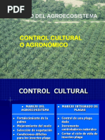 INSECTOS PLAGAS - Tara PDF | PDF | Lepidópteros | Mosca