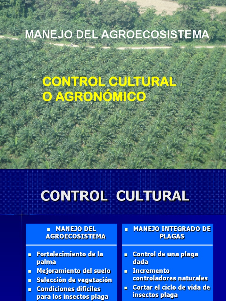 11 - CONTROL CULTURAL | PDF | Cosecha | Plaga (organismo)