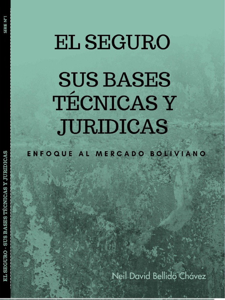 4 El Seguro Bases Tecnicas Juridicas Resumen | PDF | Seguro | Reaseguro