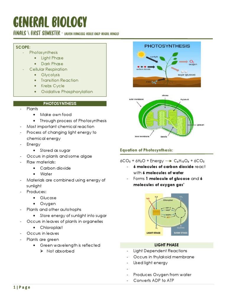 General Biology Reviewer | PDF