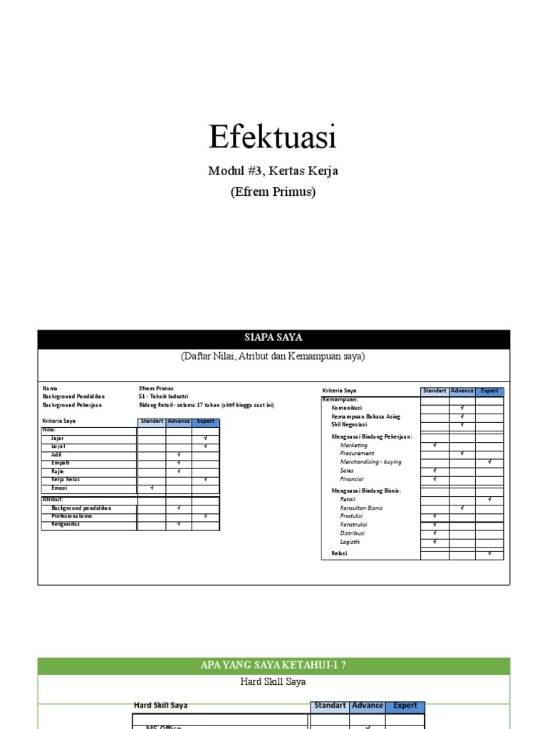 Tugas Efektuasi (Efrem Primus) | PDF
