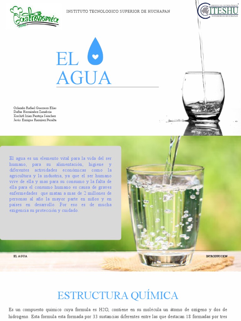Agua Presentacion | PDF | Agua | Nutrientes