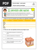 Ficha Del Sentido Del Tacto C y T | PDF