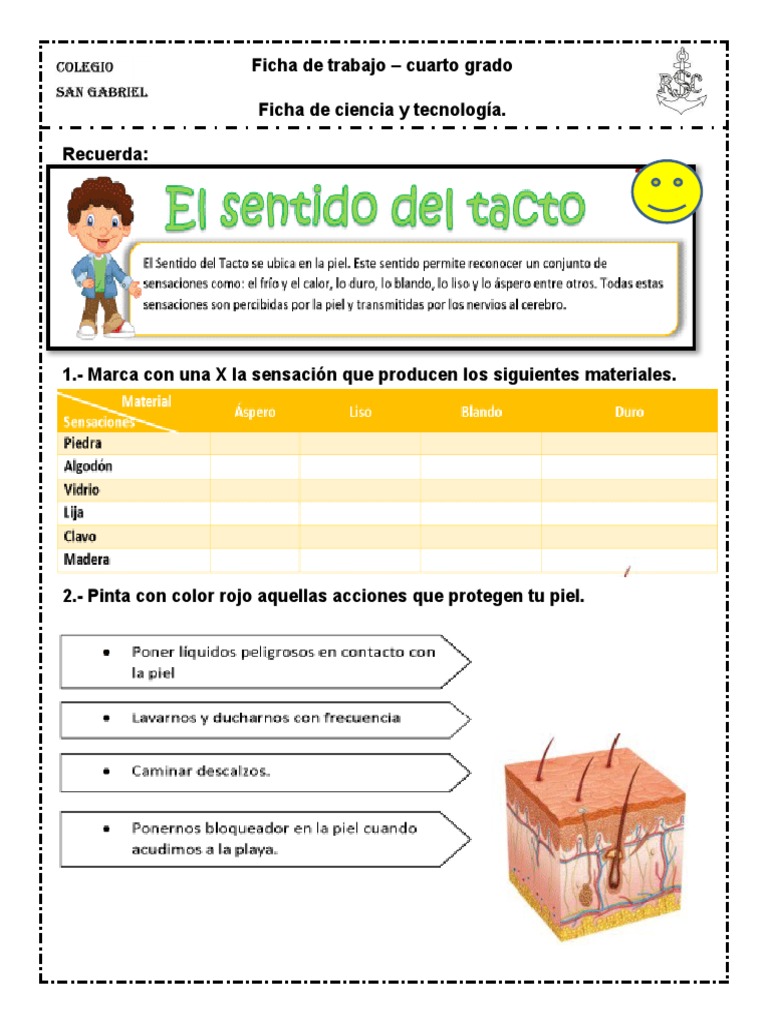 Ficha de Ciencia y Tecnologia El Sentido Del Tacto Cuarto Grado | PDF