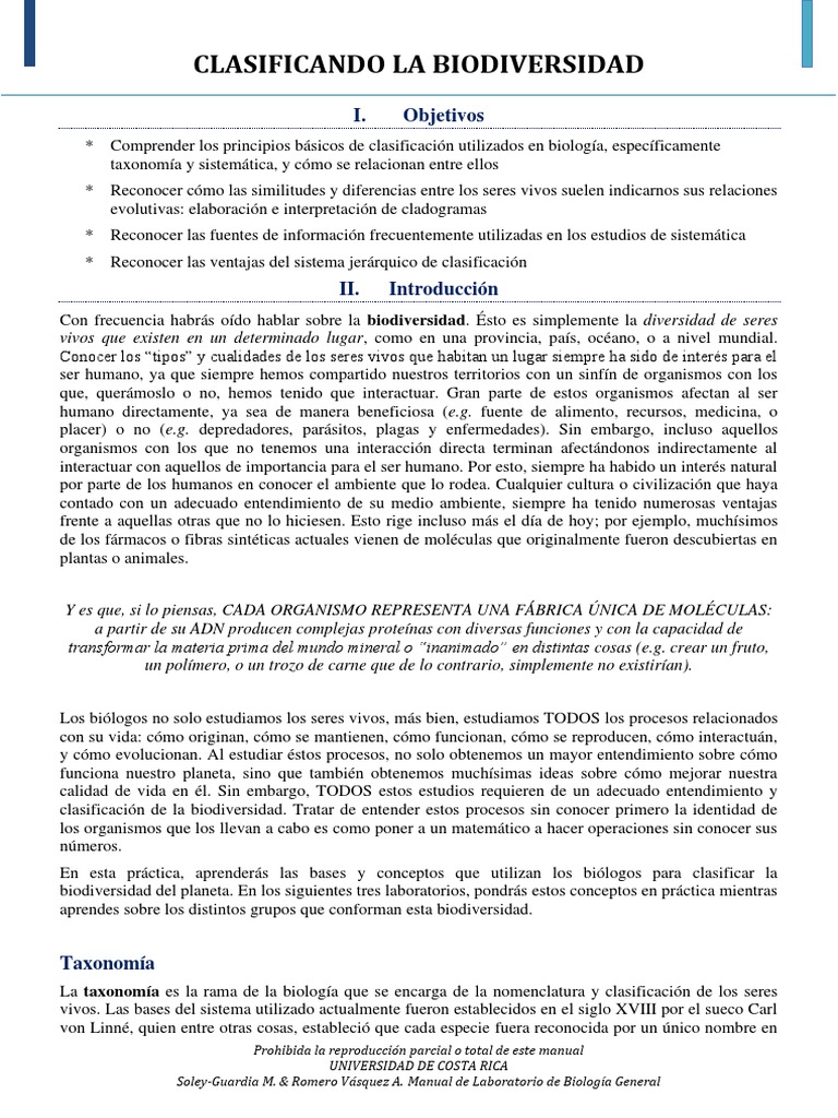 Clasificación de la Biodiversidad en Biología | PDF | Clade | Taxonomía ...