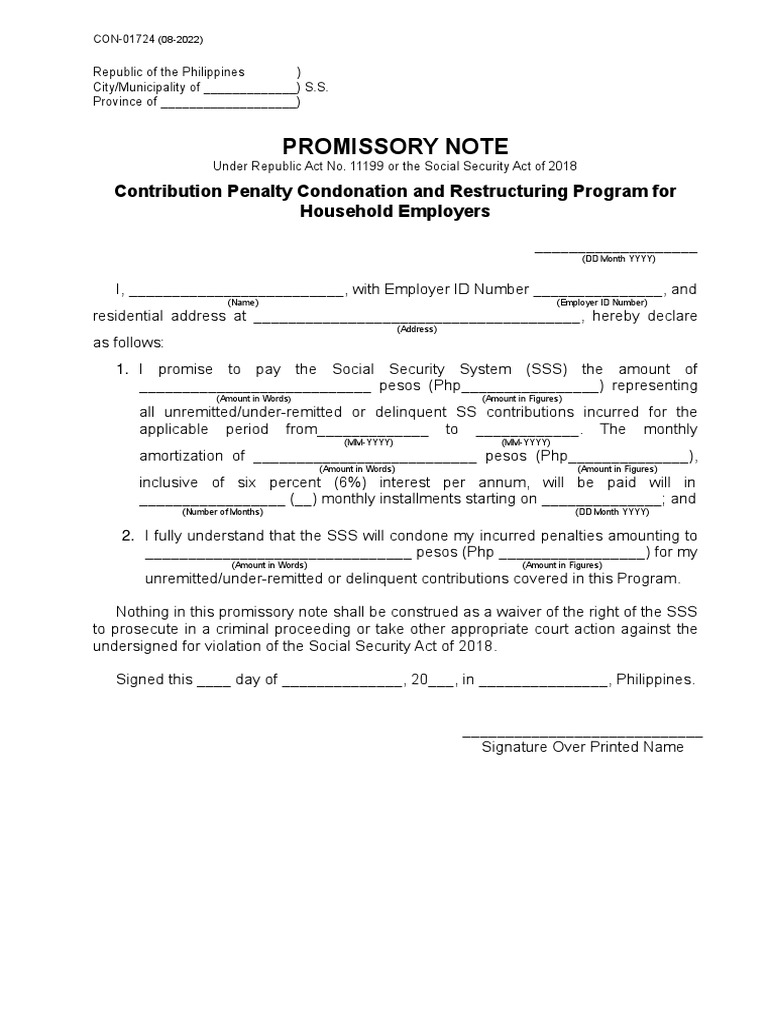 AnnexC6 Promissory Note | PDF | Public Law | Justice