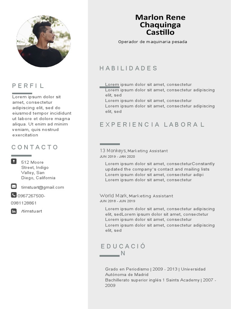 Nueva Plantilla Curriculum Vitae Gris Foto Lado | PDF