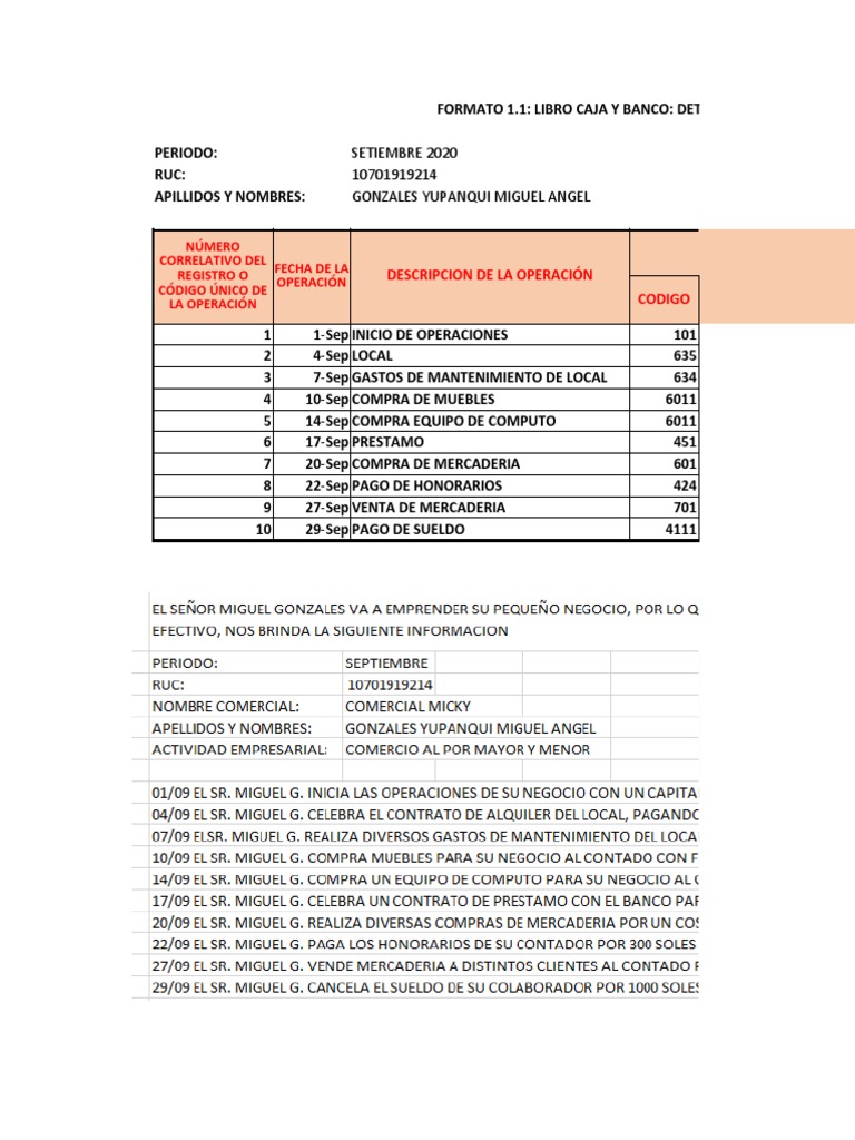 Formato 1.1 | PDF | Contabilidad | Sector privado