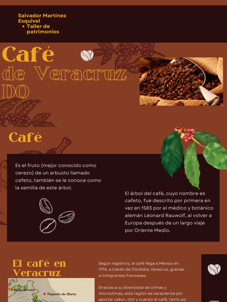 Café de Veracruz | PDF | café | Comida y bebida