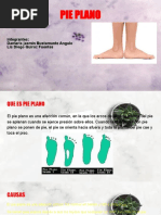 Pie Talo, Pie Varo, Valgo, y Pie Plano | PDF | Pie | Tobillo