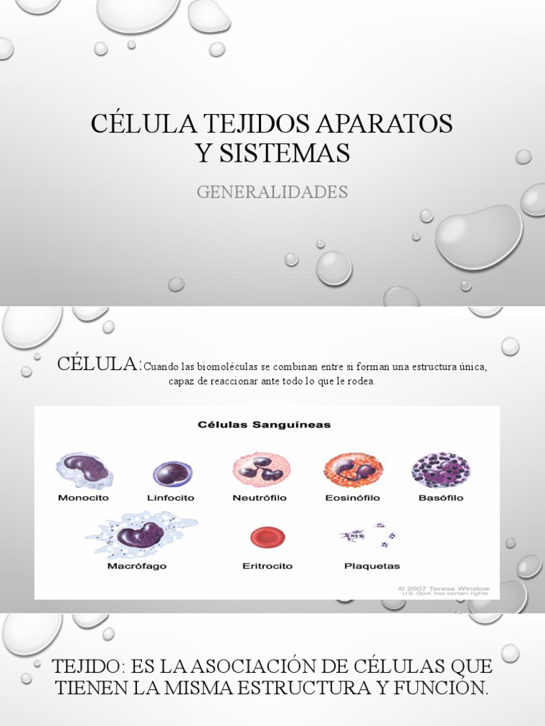 Célula Tejidos Aparatos y Sistemas | PDF | Biología Celular) | Sangre Célula Tejidos Aparatos y Sistemas | PDF | Biología Celular) | Sangre