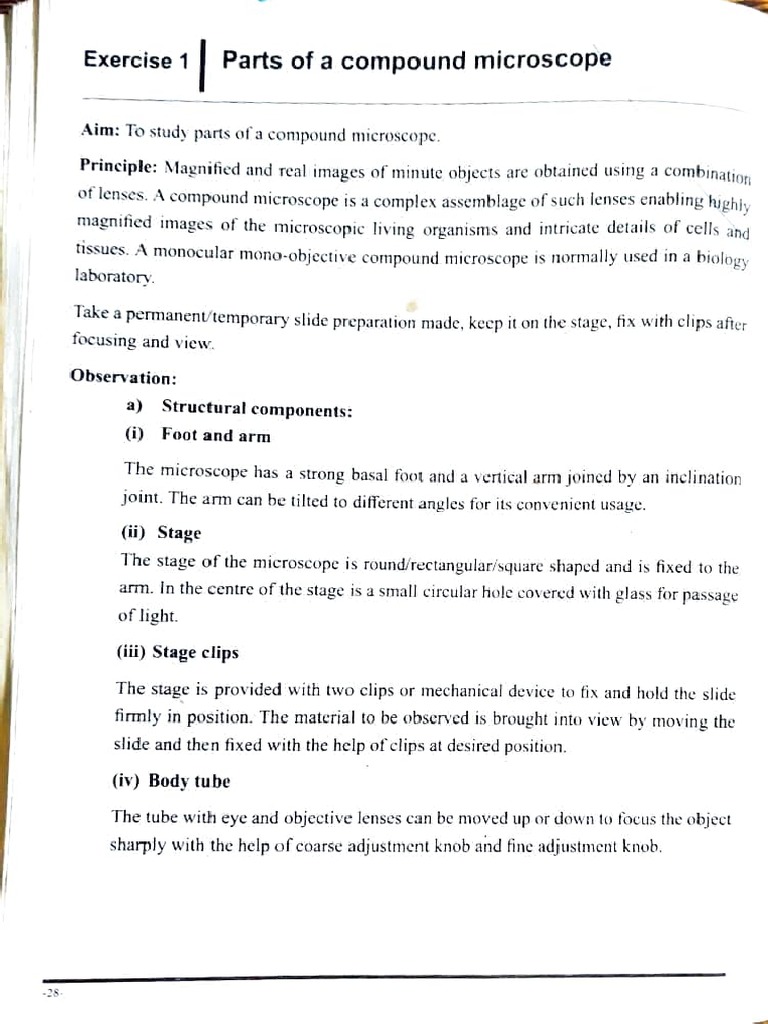 Bio Experiment 4 | PDF | Glass Applications | Optical Devices