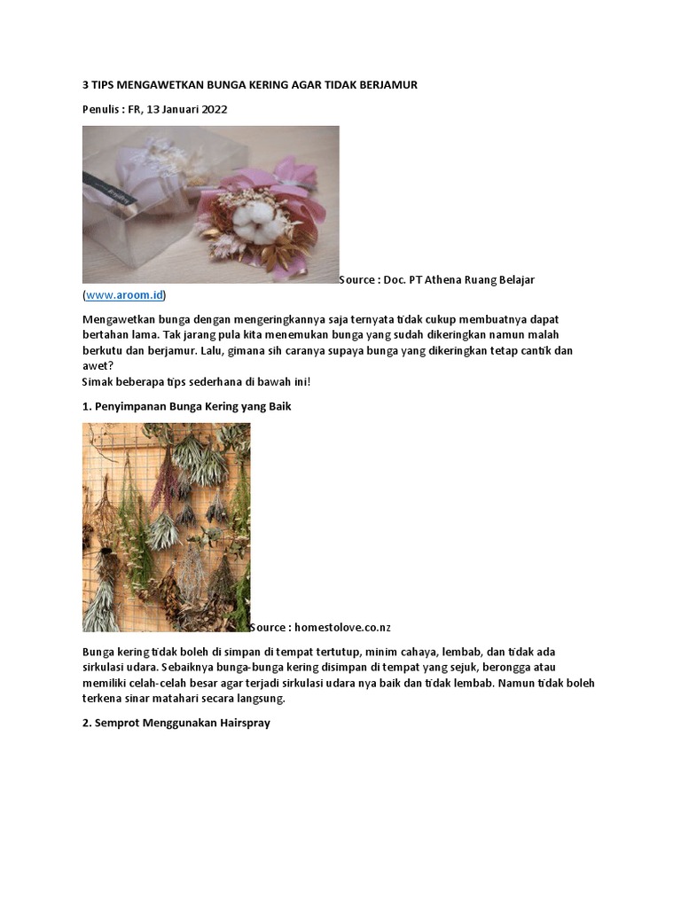 3 Tips Mengawetkan Bunga Kering Agar Tidak Berjamur Pdf
