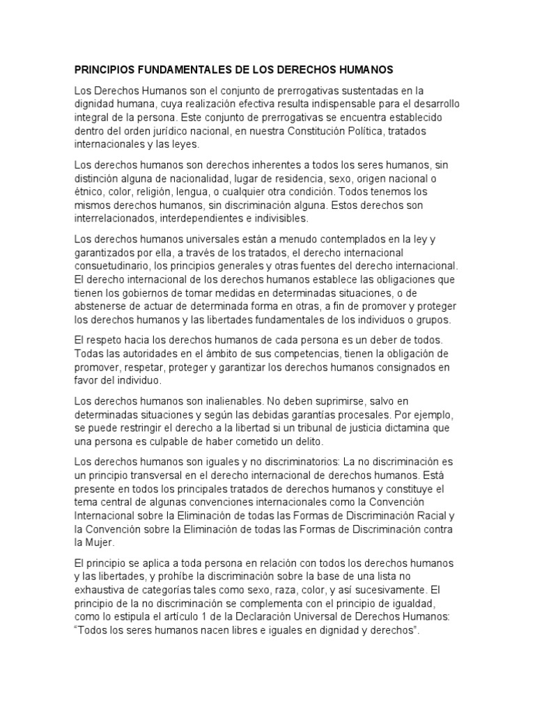 Principios Fundamentales de Los Derechos Humanos | PDF | Derechos ...