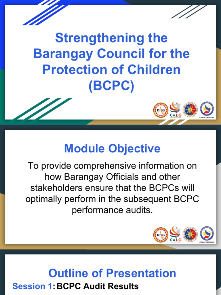 Barangay Peace and Order Council (BCPC) | PDF | Child Care | Audit
