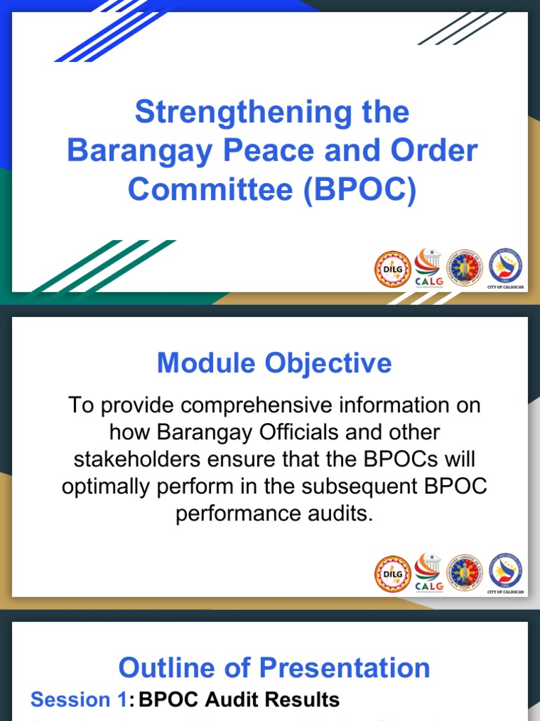 Barangay Peace and Order Council (BPOC) | PDF | Audit | Crimes