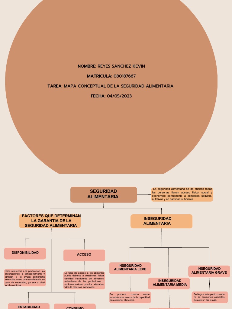 Mapa Conceptual de La Seguridad Alimentaria | Descargar gratis PDF | Seguridad alimentaria ...