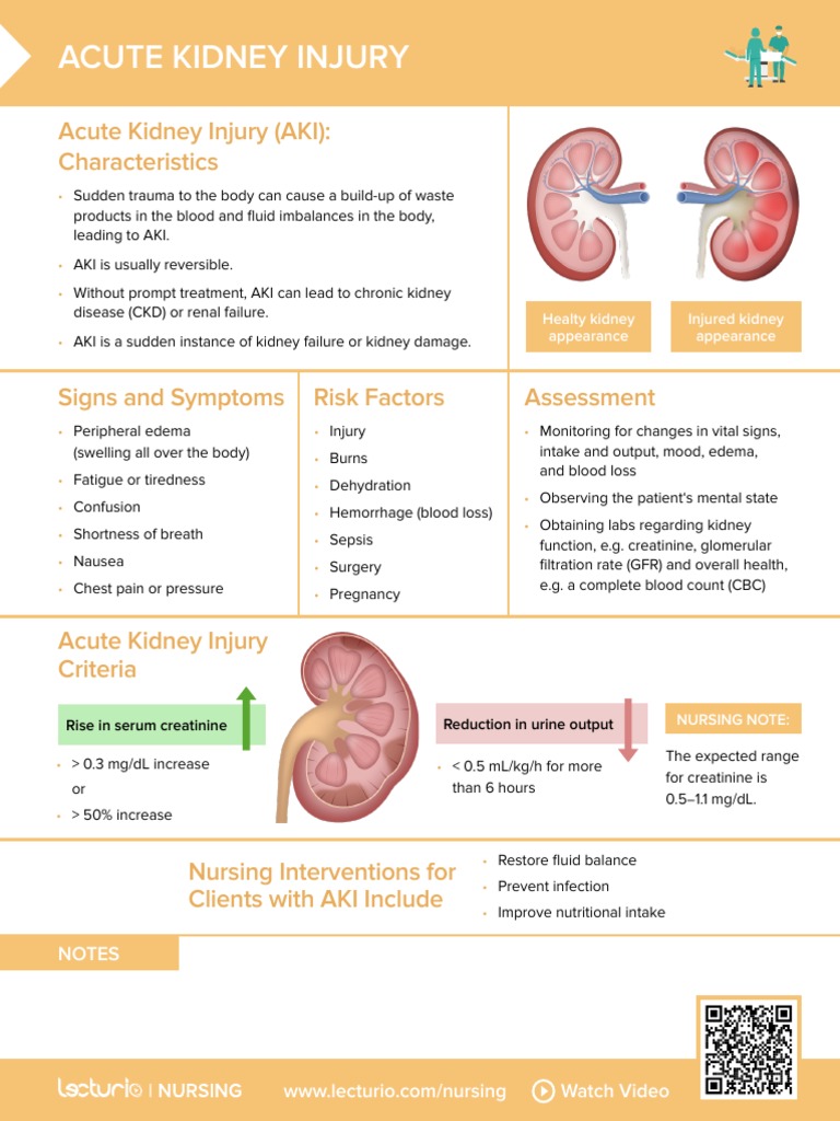 Acute Kidney Injury Nursing Overview | PDF | Internal Medicine | Medicine