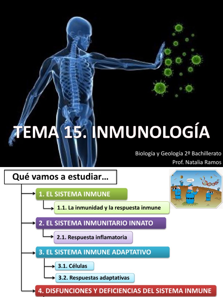 Sistema Inmune | PDF | Sistema inmune | Linfocitos