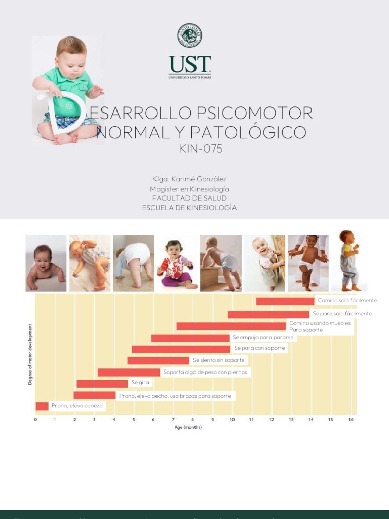 Clase 2 Desarrollo Psicomotor | PDF | Neurociencia | Sistema nervioso