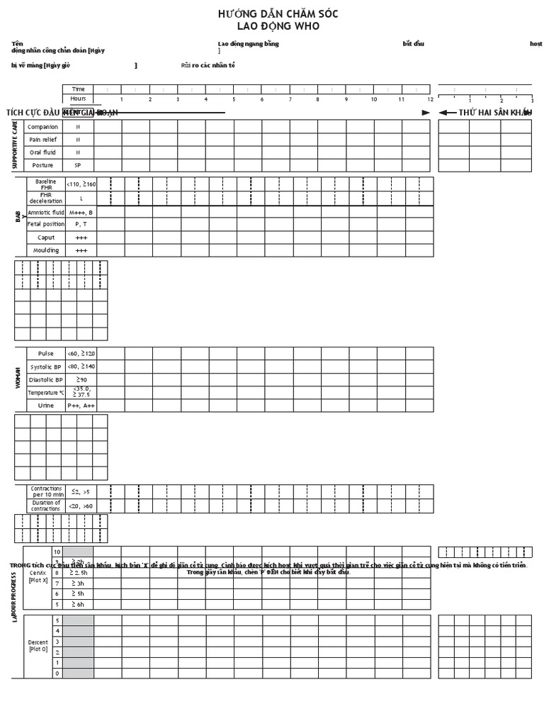 WHO Labour Care Guide Chart TV 2 | PDF