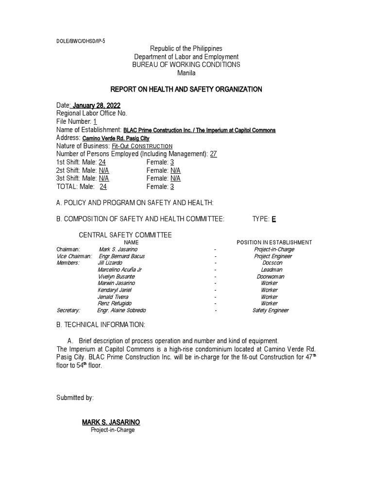 RSO-Report On Health and Safety Organization | PDF | Economies | Labor Relations