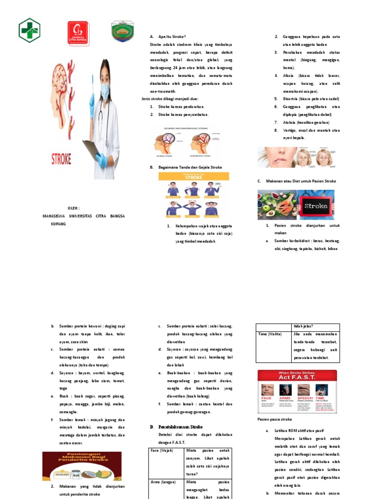 Leaflet Penyakit Stroke | PDF