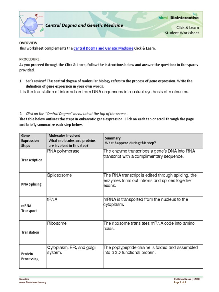 CDGM StudentWS | PDF | Gene Expression | Gene