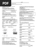 Observation of Mongo | PDF