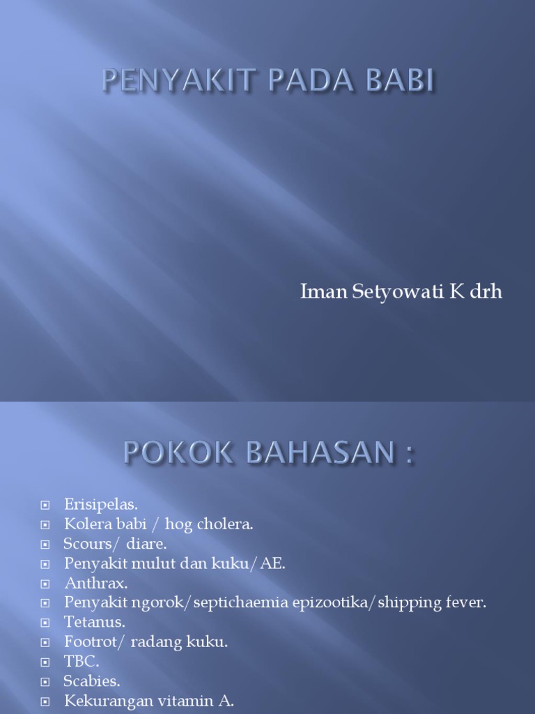 Penyakit Pada Babi | PDF