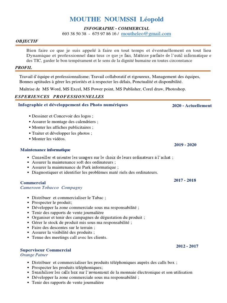 Curriculum Leopold | PDF | Informatique