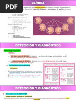 Anatomia de La Mama | PDF | Biopsia | Cáncer de mama