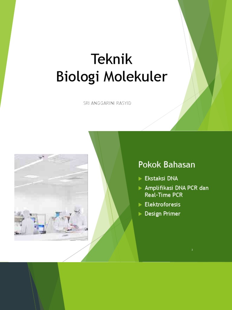 (4)Aplikasi Teknik Biologi Molekuler _compressed | PDF | Primer ...